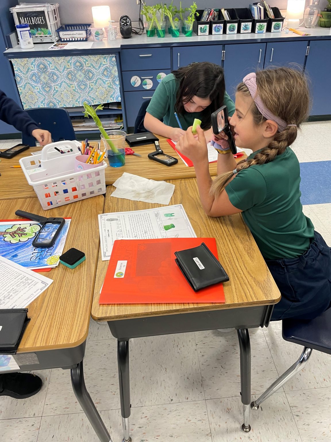 Elementary K – 5th Grade - St. Mark Catholic School